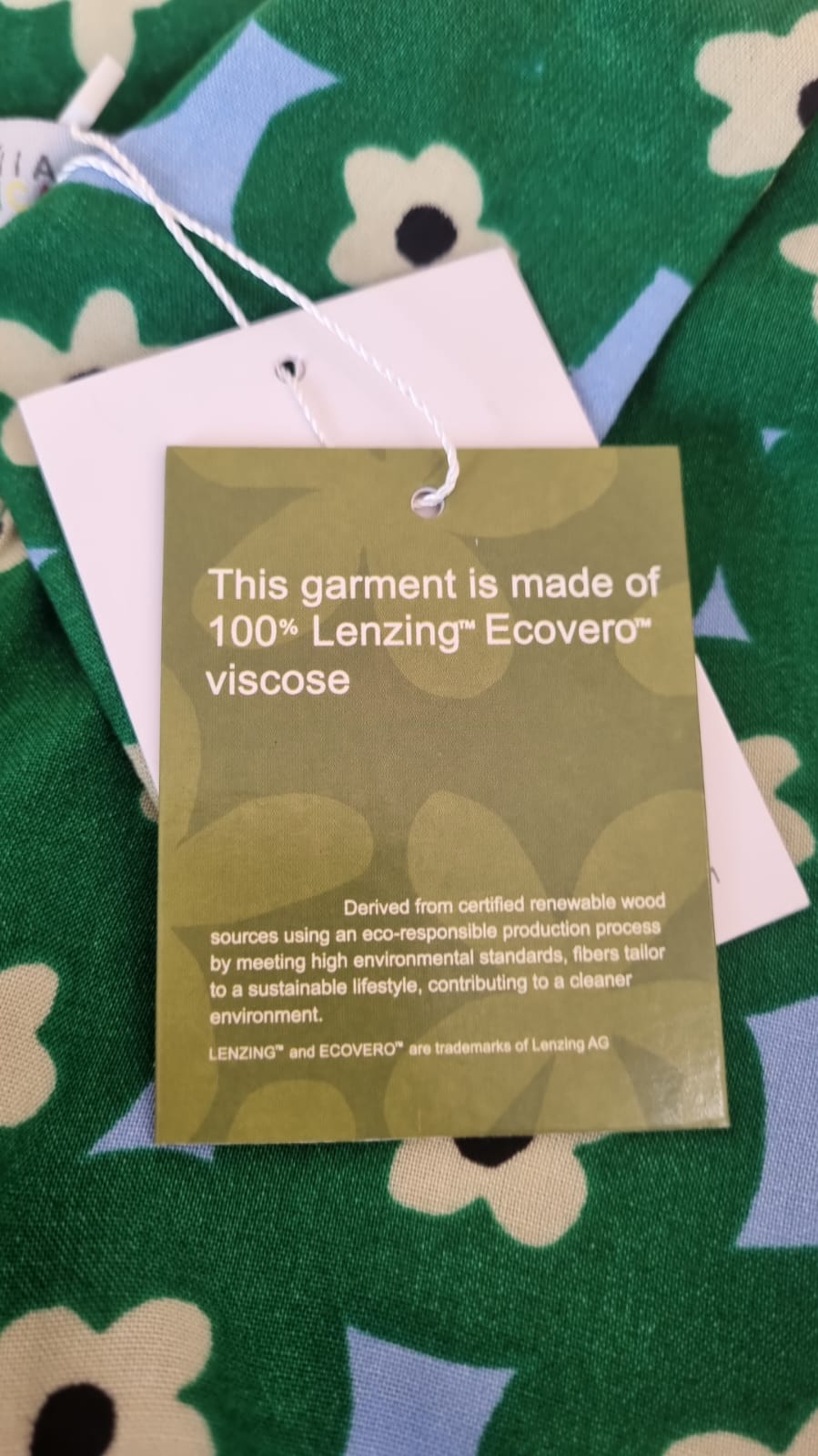 Ecovero, chi è costui? - Edith SNC a Piove di Sacco - Acquista Online